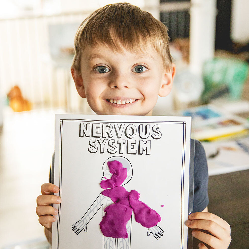 EE Inside the Human Body – Schoolhouse Discoveries