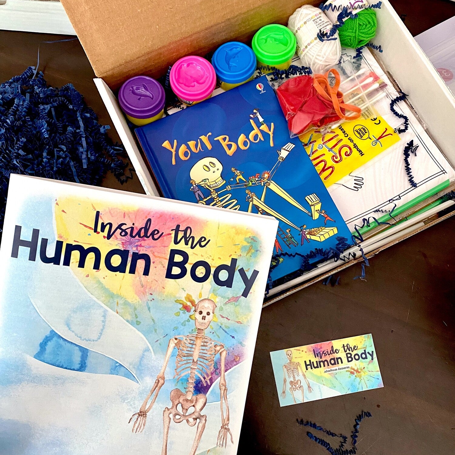 EE Inside the Human Body – Schoolhouse Discoveries