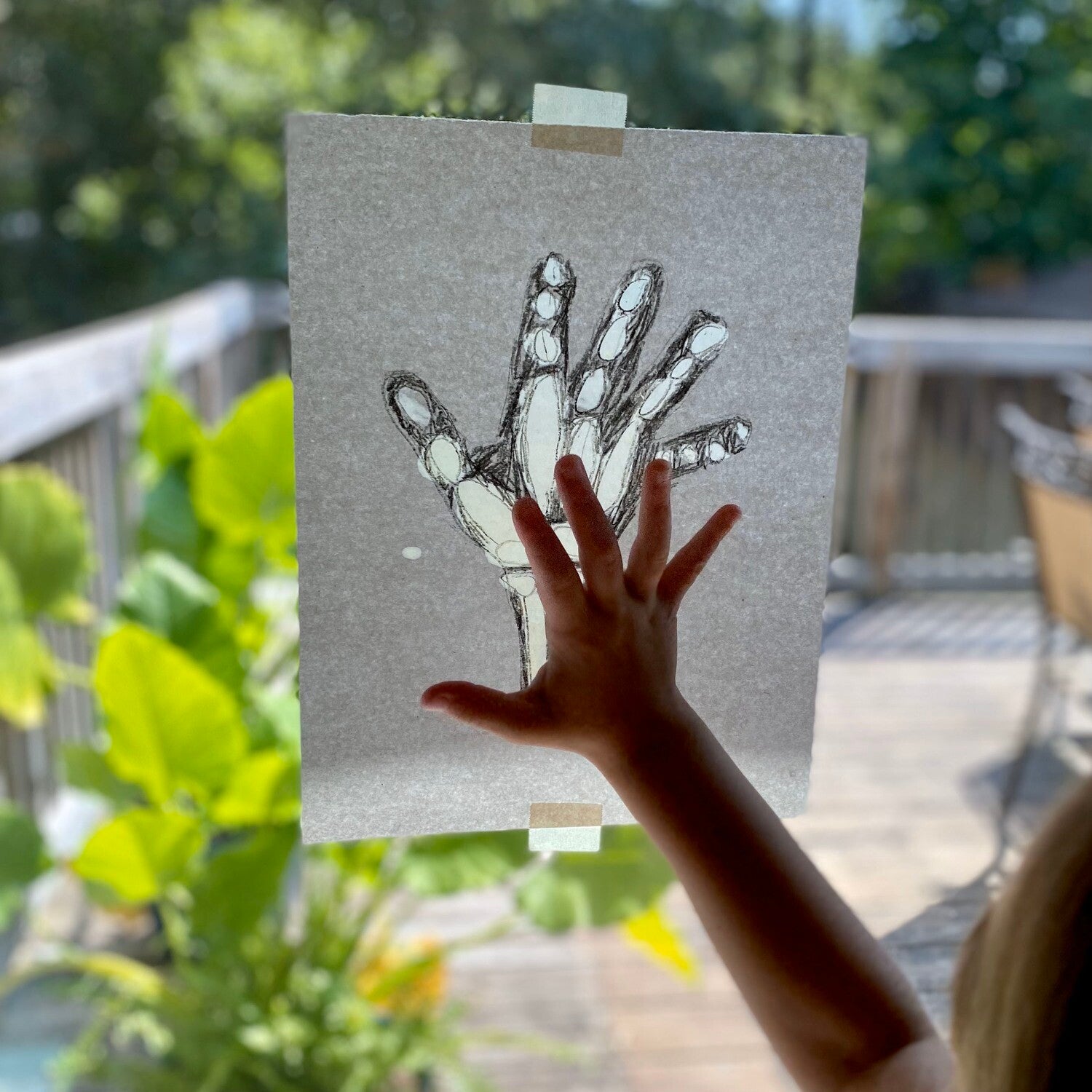 EE Inside the Human Body – Schoolhouse Discoveries